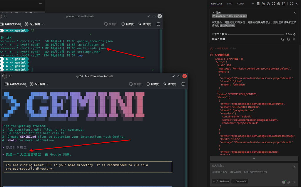 求助：kilo code 调用 Gemini-CLI 出现 403 错误 - 开发调优 - LINUX DO